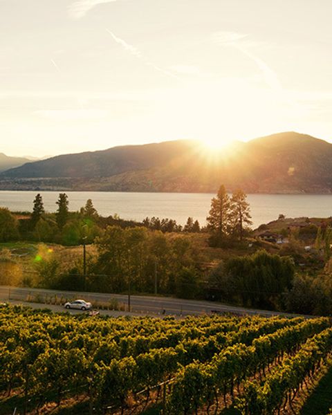 2022 Rosé - Hillside Winery