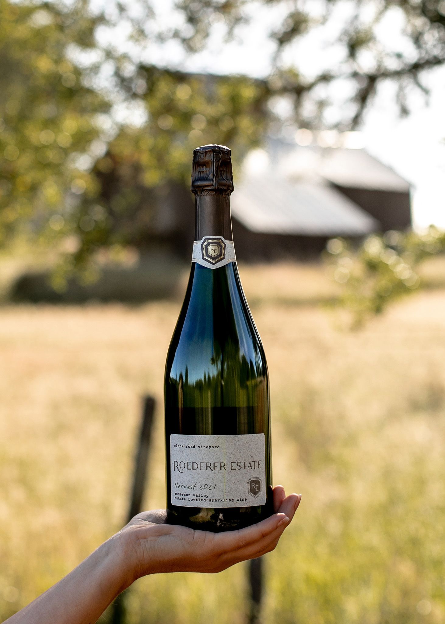 Roederer Estate Clark Road Vineyard 2021 — Roederer Estate