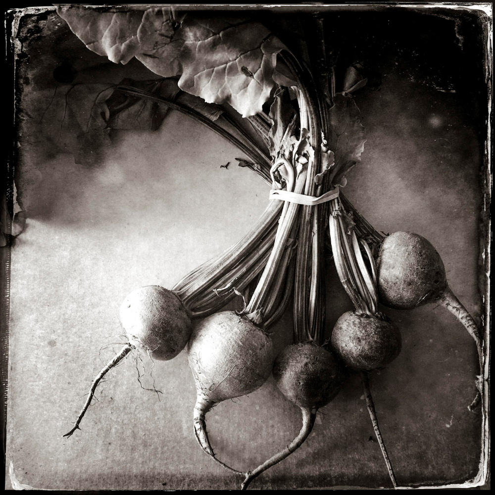 Product – Rosby Wines